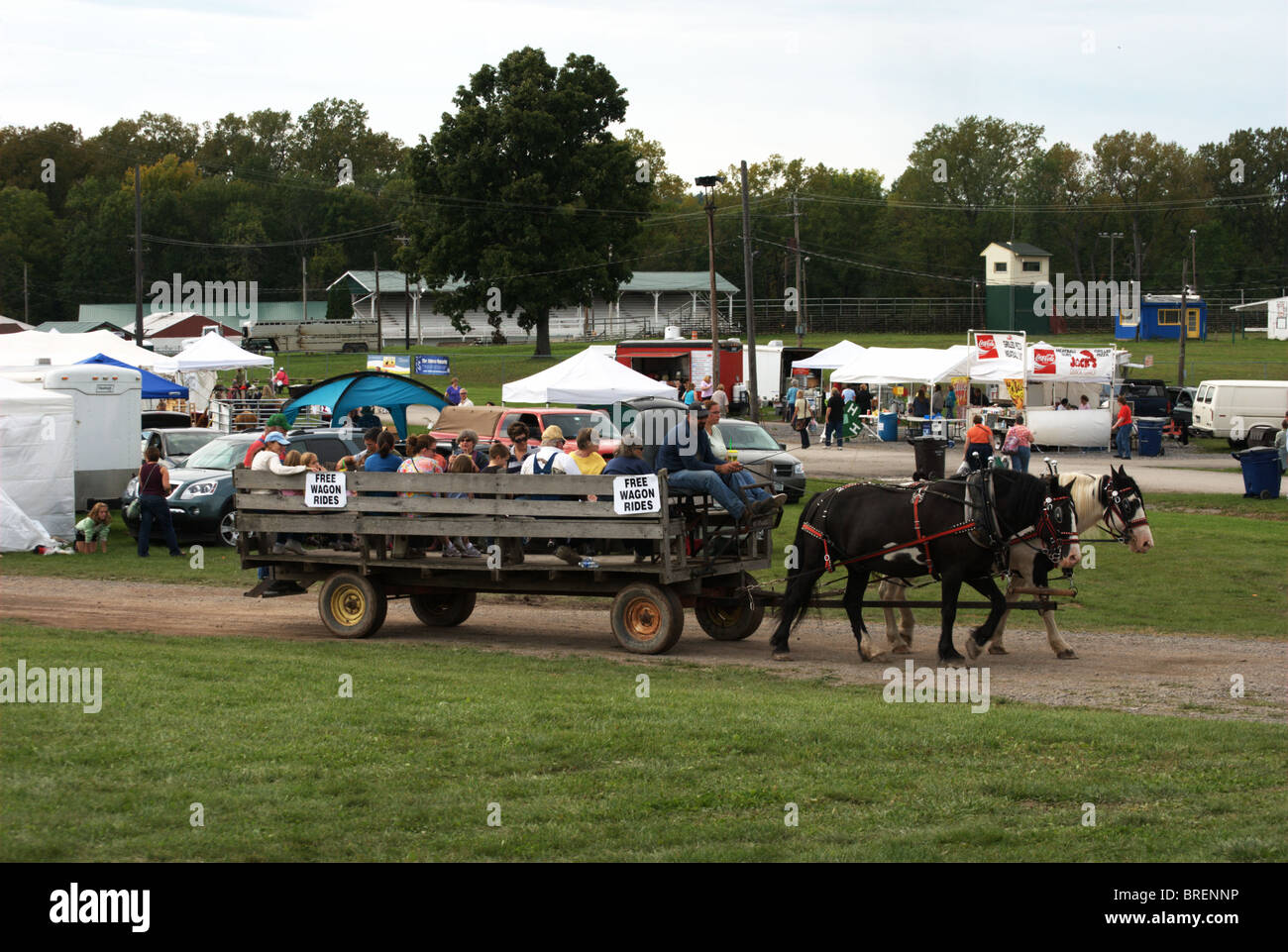 Rural fair draft horses hi-res stock photography and images - Alamy