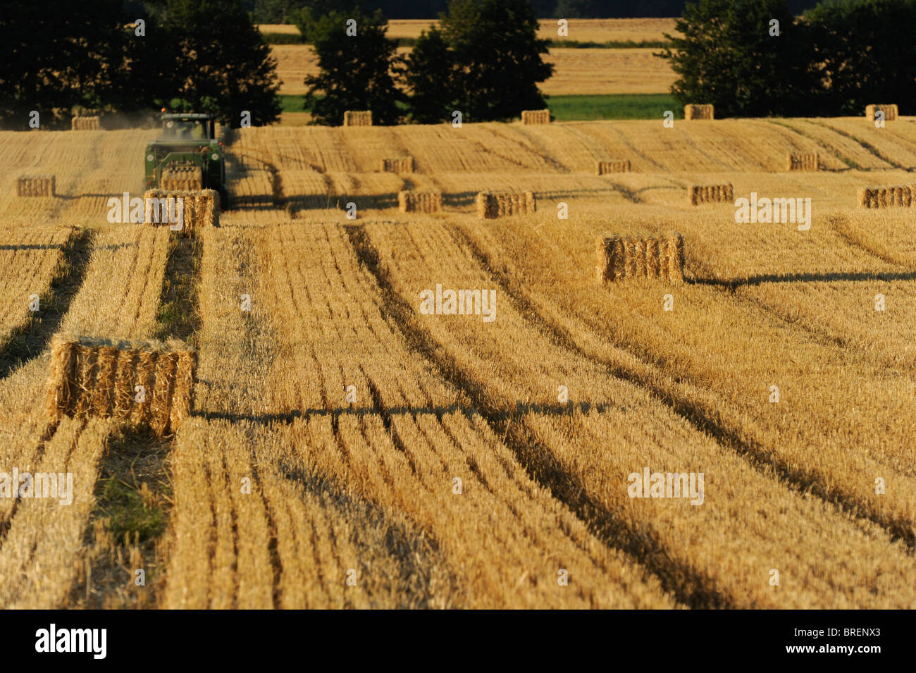 Germany John Deere tractor and bale press at straw harvest Stock Photo ...