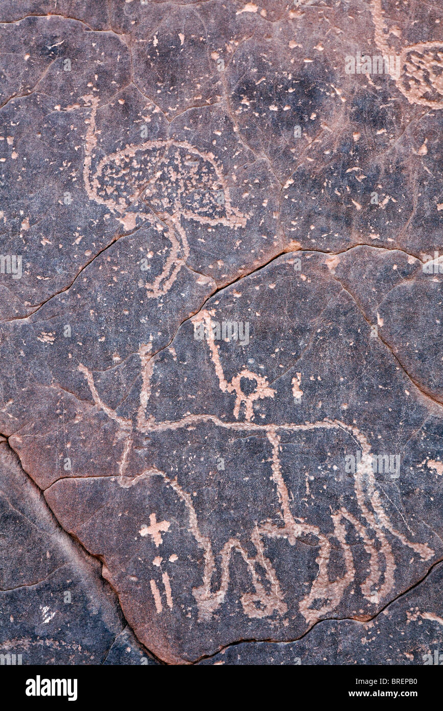 Horned cow and ostrich, engraved rock art in the Akakus Mountains ...