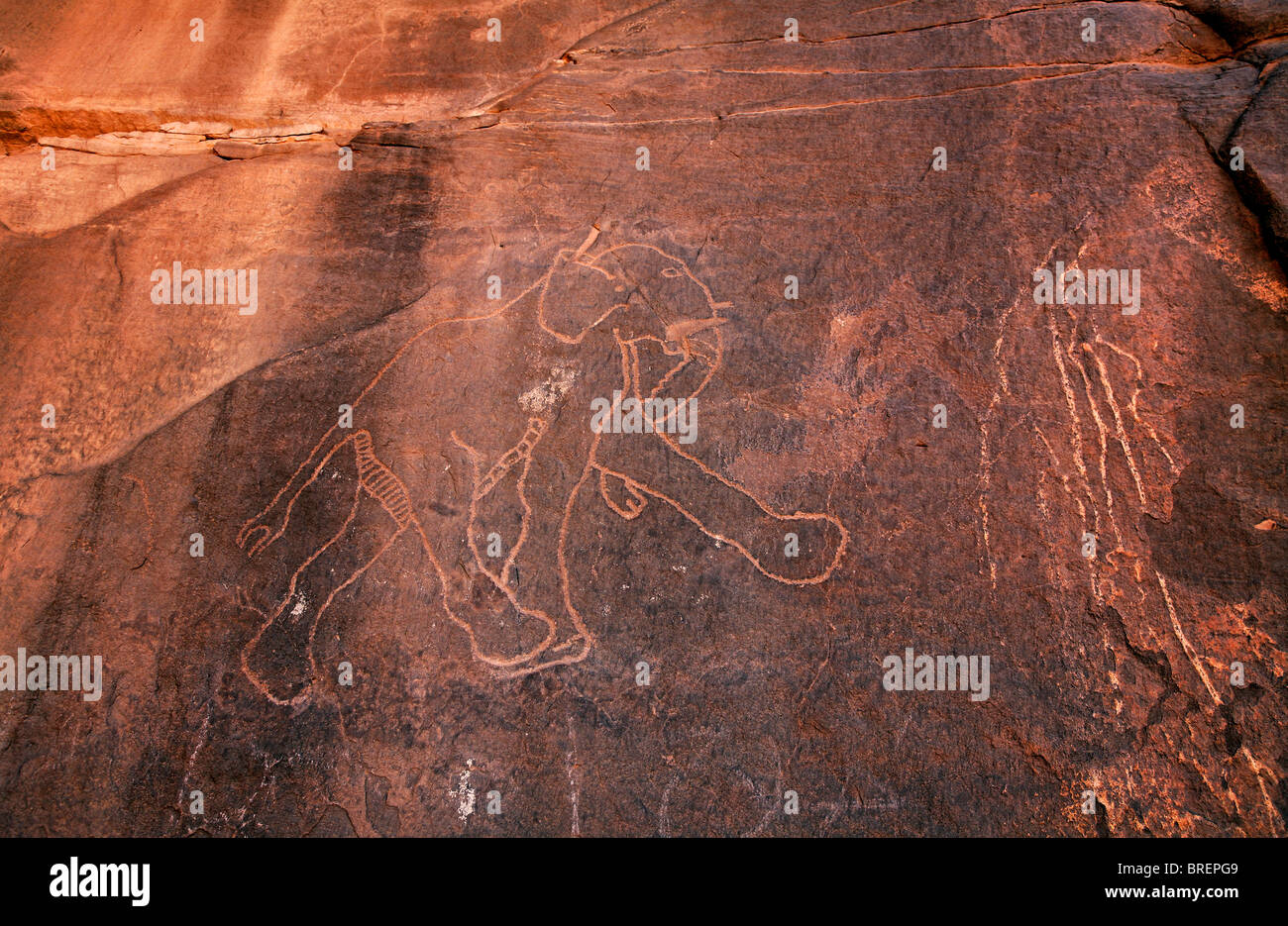 Elephant, engraved rock art in the Akakus Mountains, Sahara Desert ...