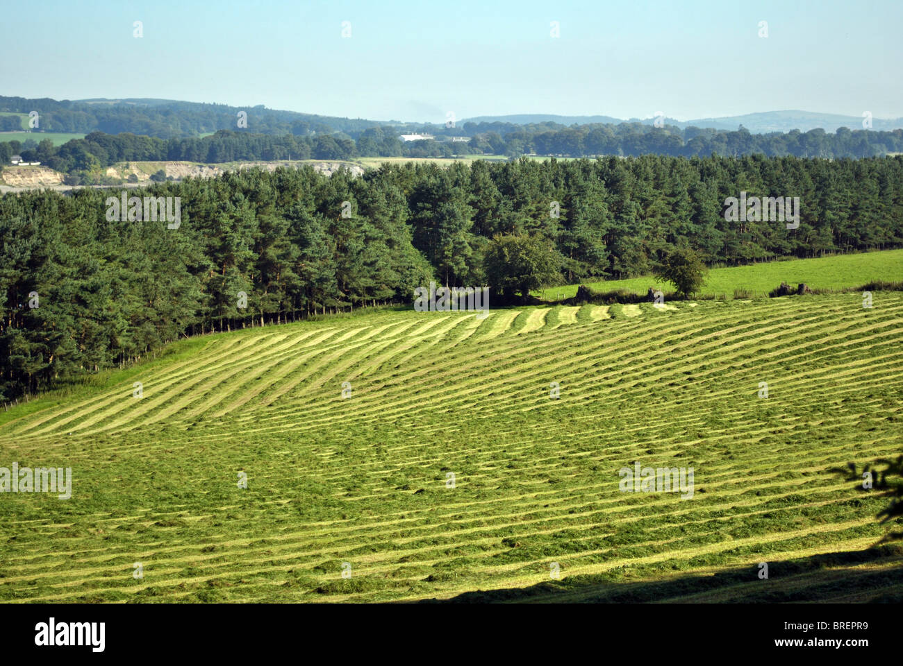 Harvest time harvesting hi-res stock photography and images - Alamy