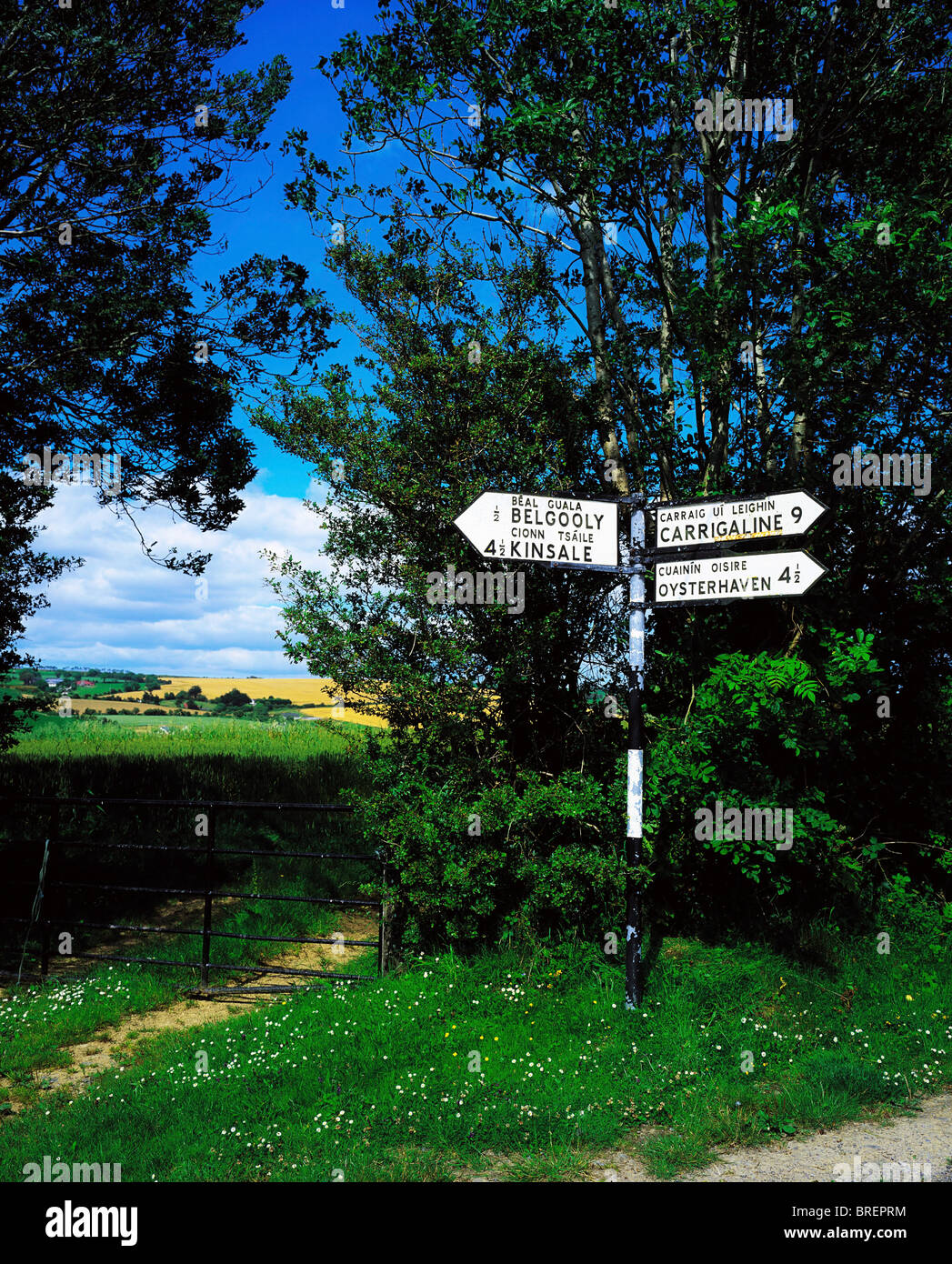 Belgooly, Co Cork, Ireland; Signpost Stock Photo - Alamy