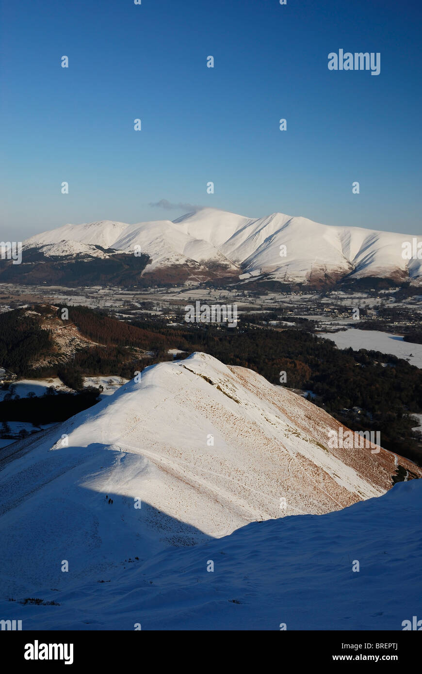 Covered cat hi-res stock photography and images - Alamy