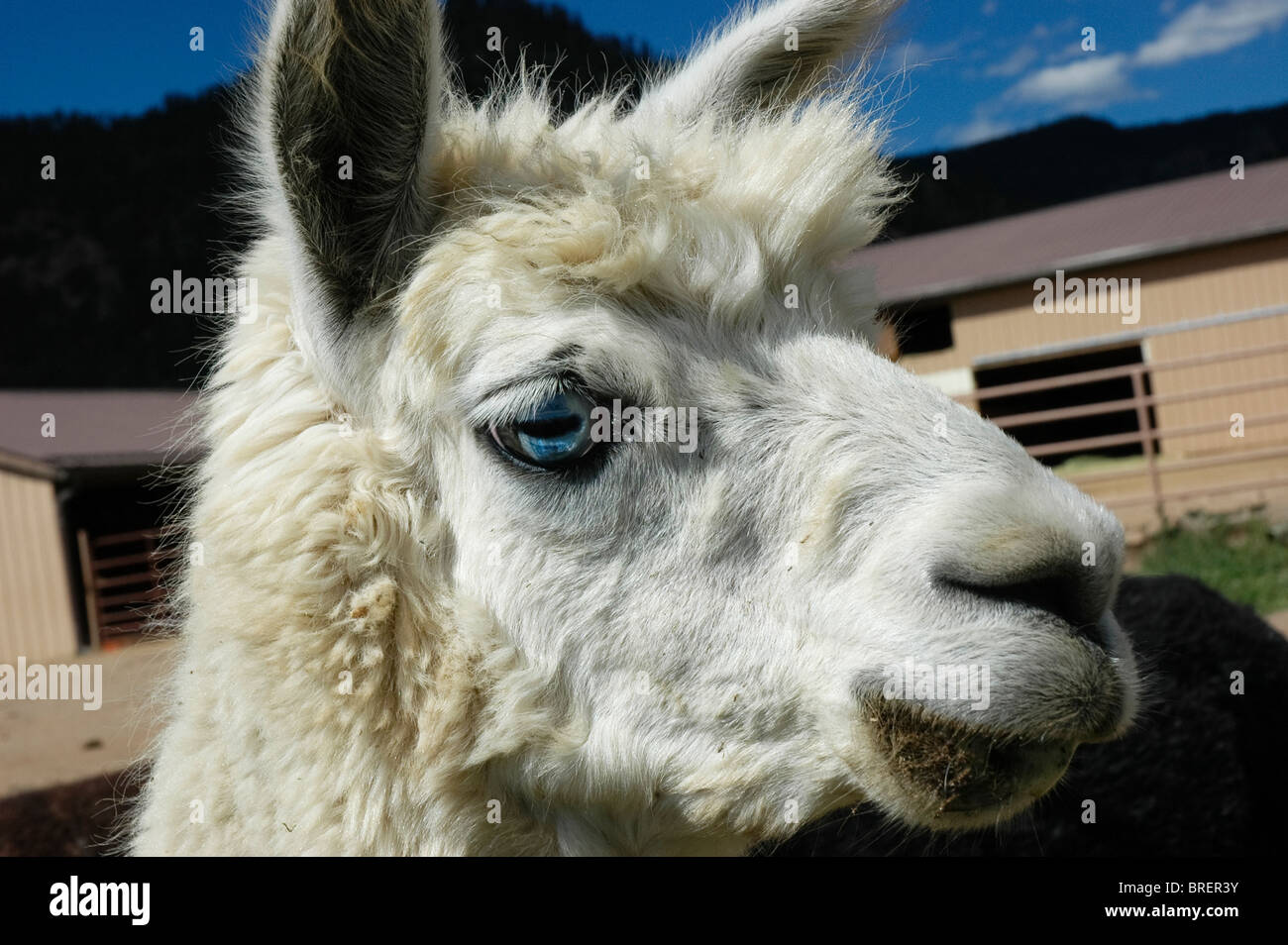 Mora ranch hi-res stock photography and images - Alamy