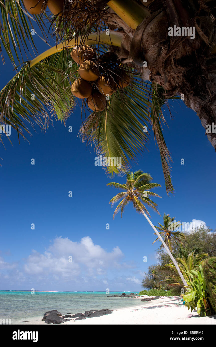 Muri beach hi-res stock photography and images - Alamy