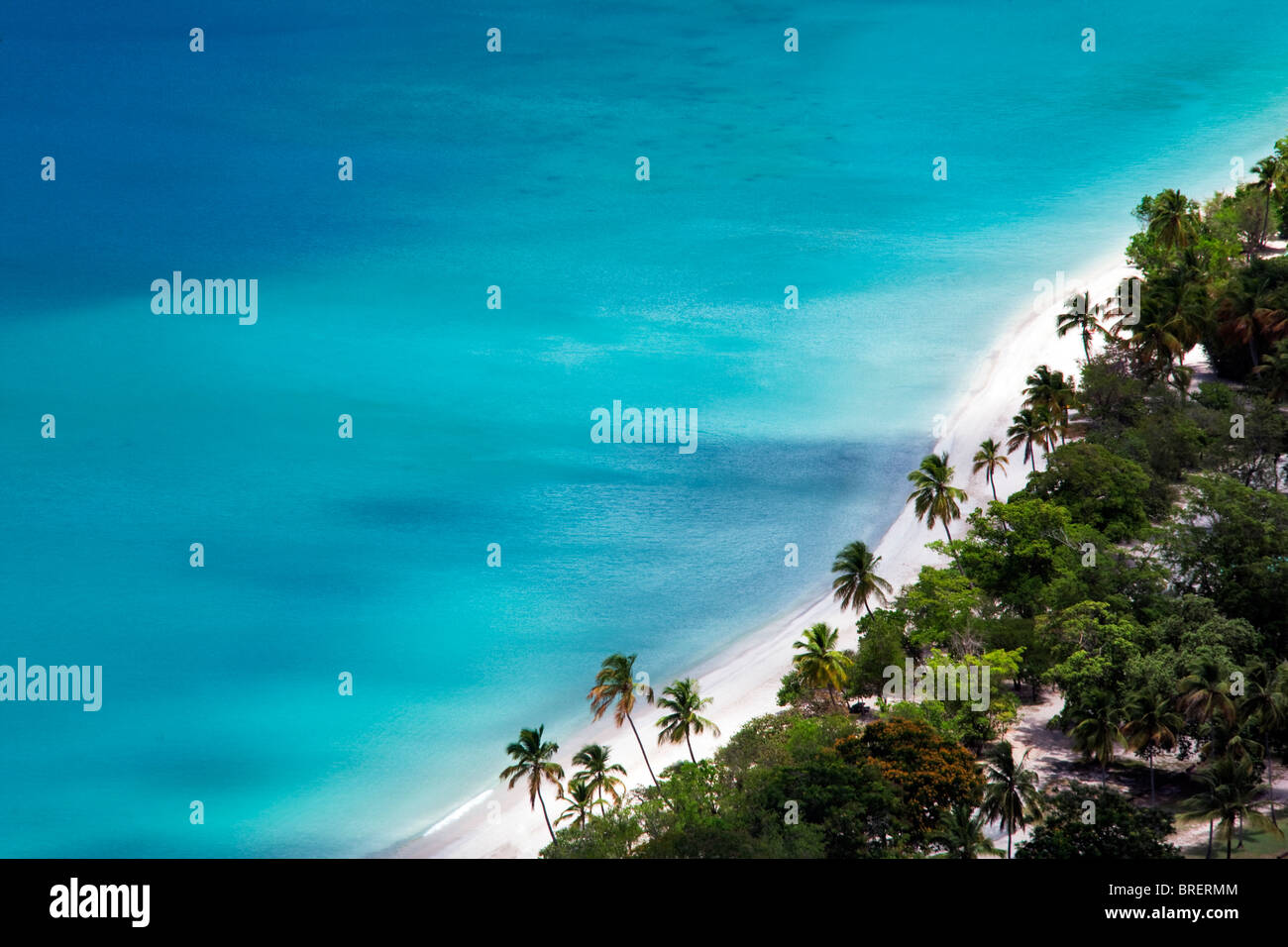 Megans bay beach with palm trees. St. Thomas. US Virgin Islands Stock ...