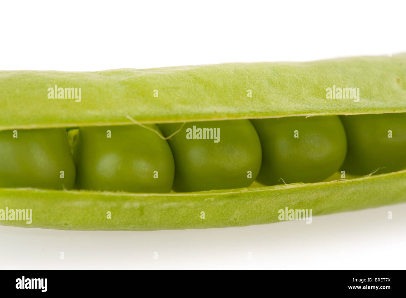 one single open broad bean isolated over white Stock Photo - Alamy