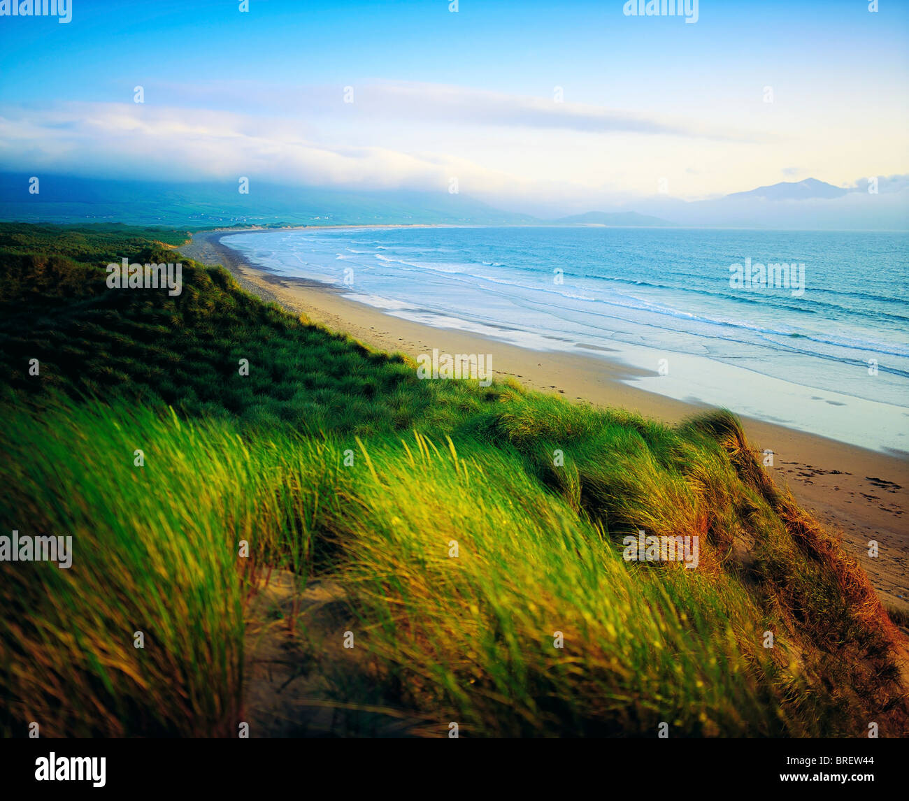 Castlegregory beach hi-res stock photography and images - Alamy