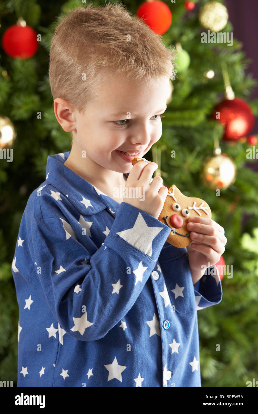 Young Boy Eating Cookie In Front Of Christmas Tree Stock Photo - Alamy