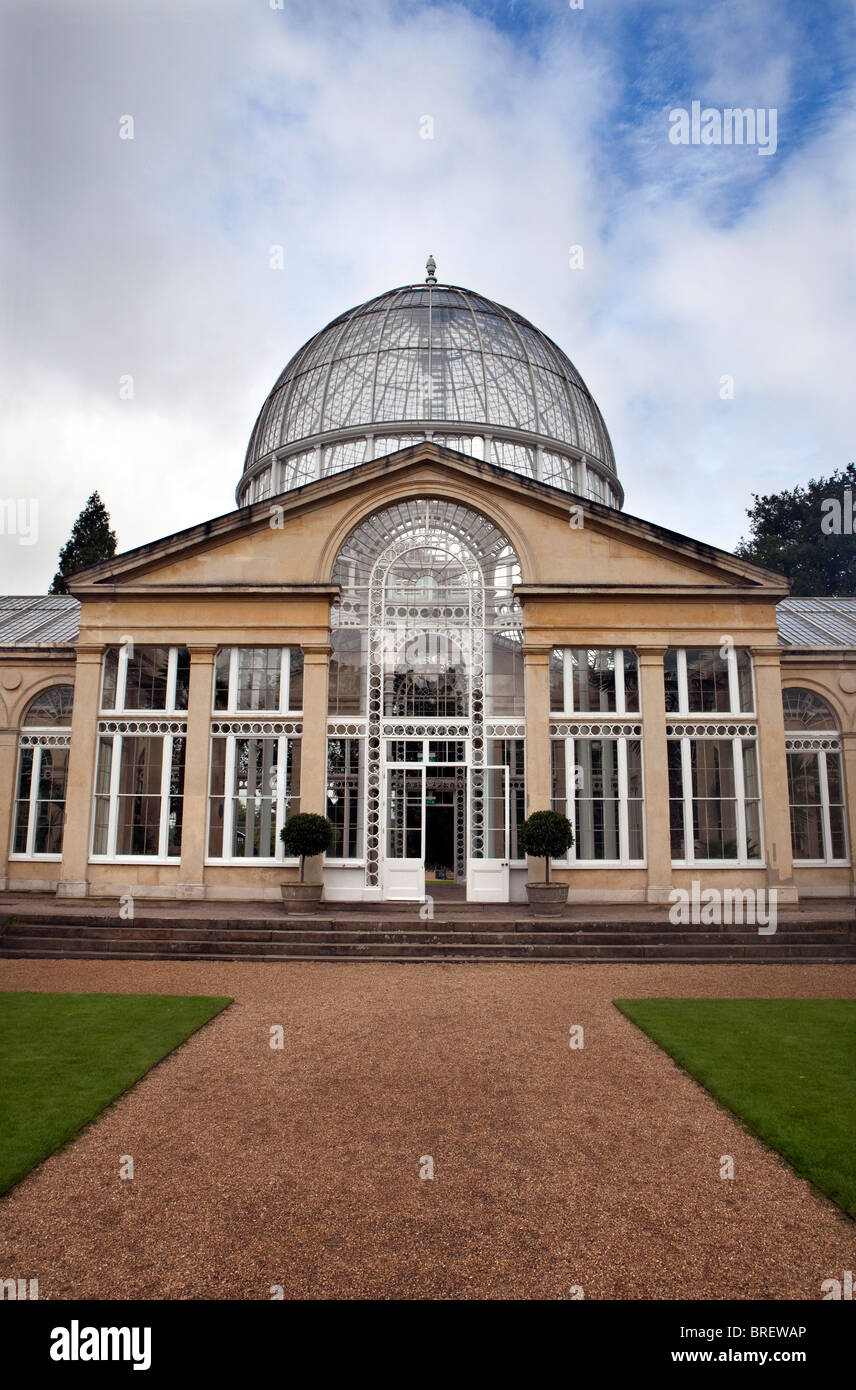 Syon House Great Conservatory, Brentford Middlesex, UK Stock Photo - Alamy