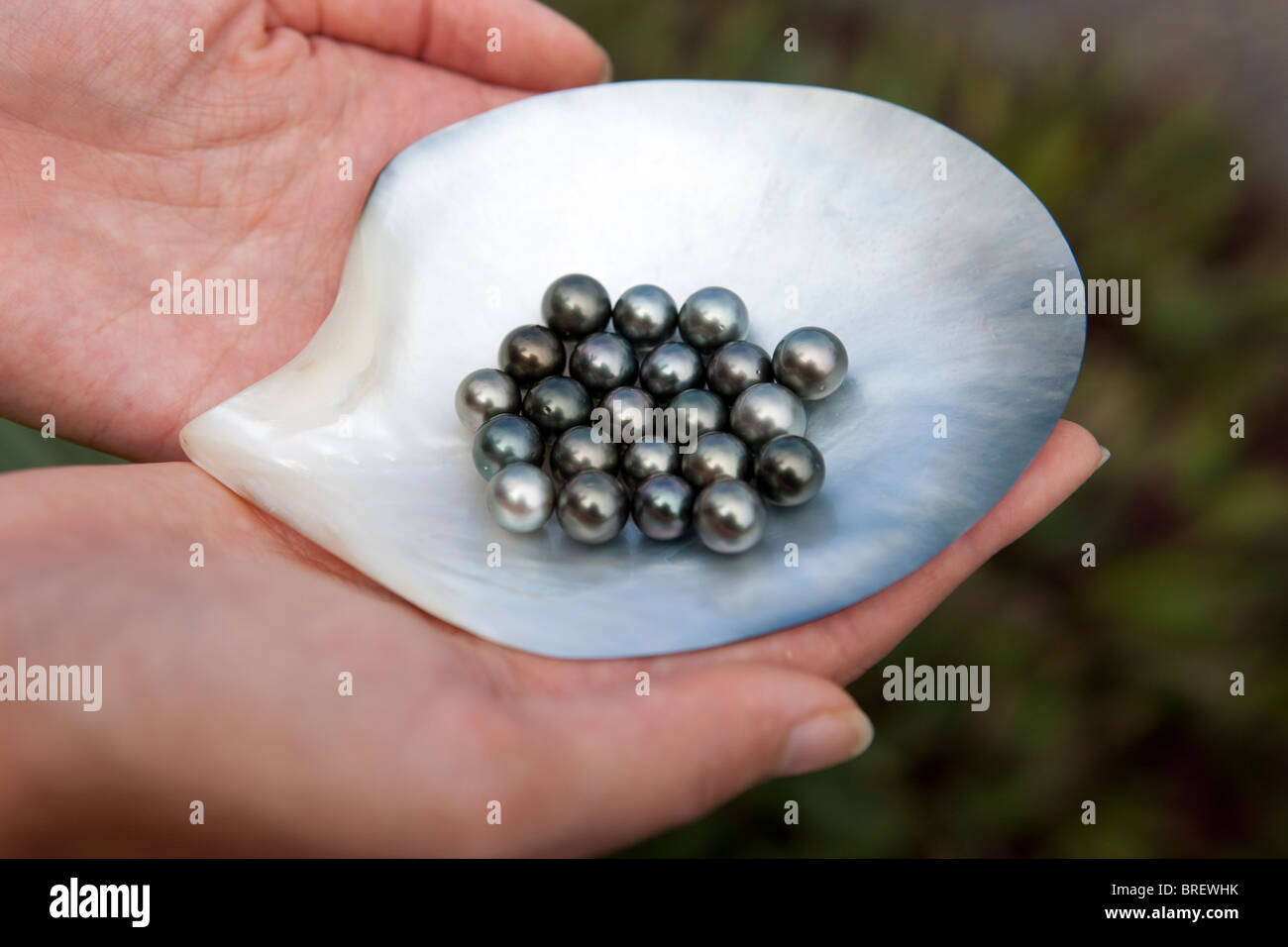Pearls hi-res stock photography and images - Alamy