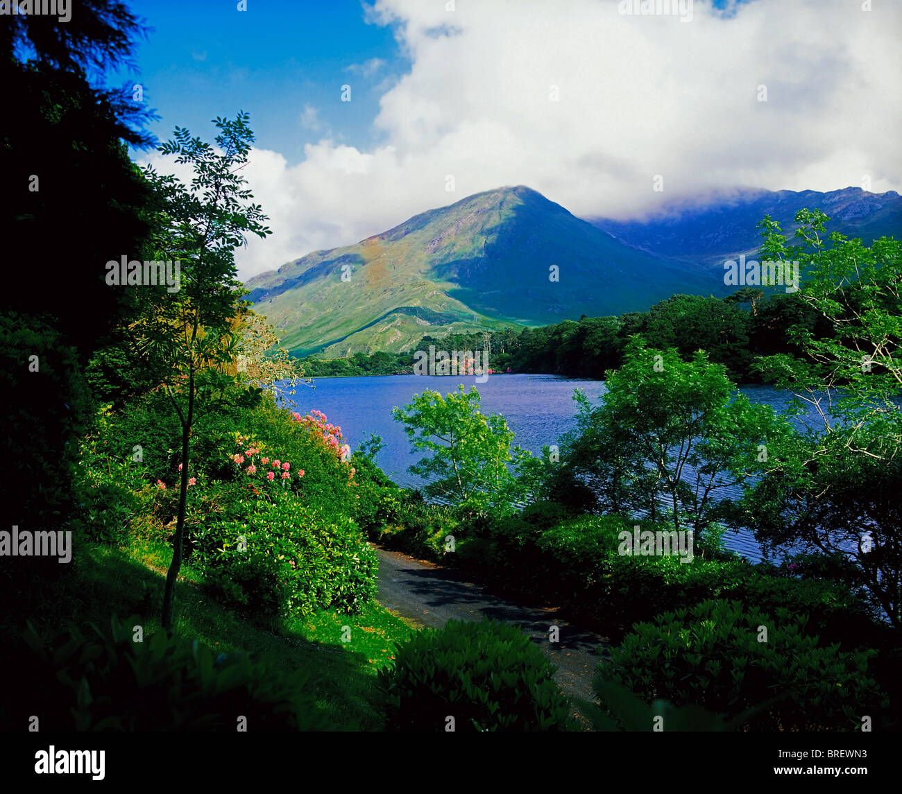 Kylemore Lake, Co Galway, Ireland; Road Near A Lake Stock Photo - Alamy