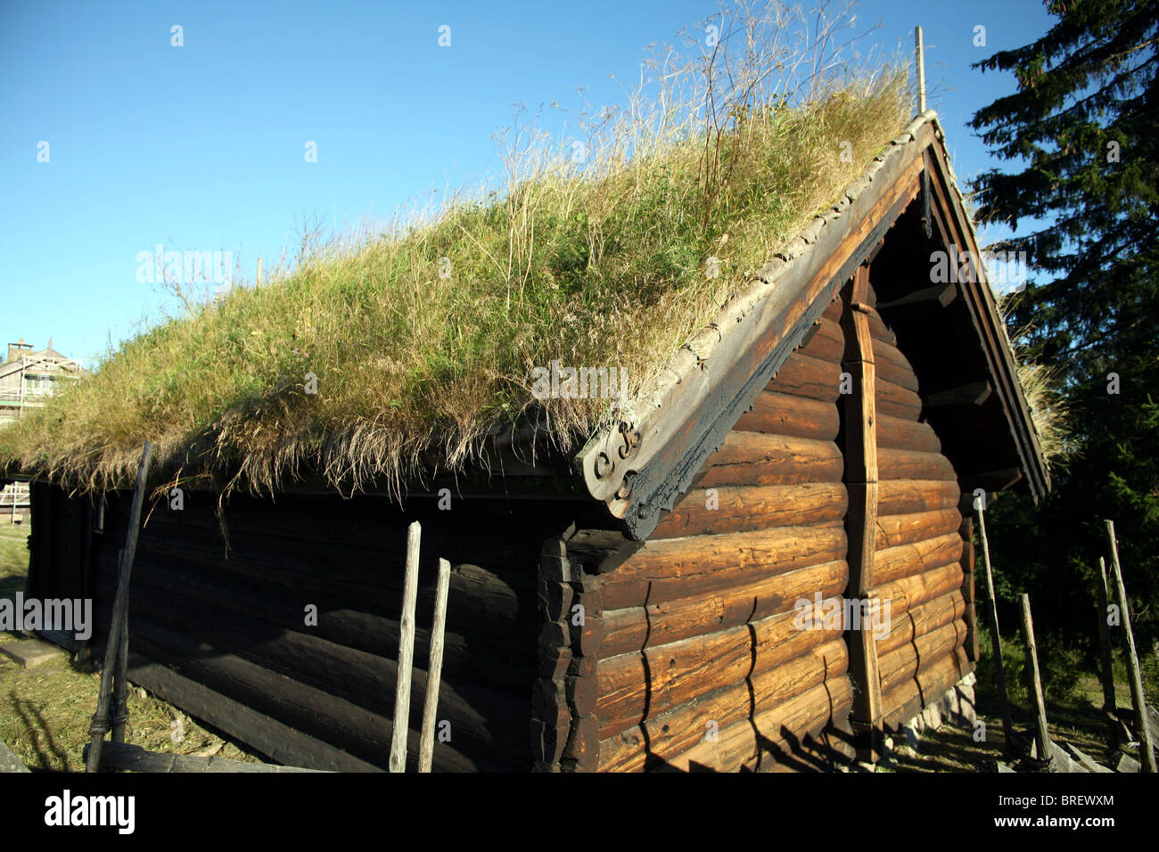 Traditional timber house with grass on the roof Norway Stock Photo - Alamy