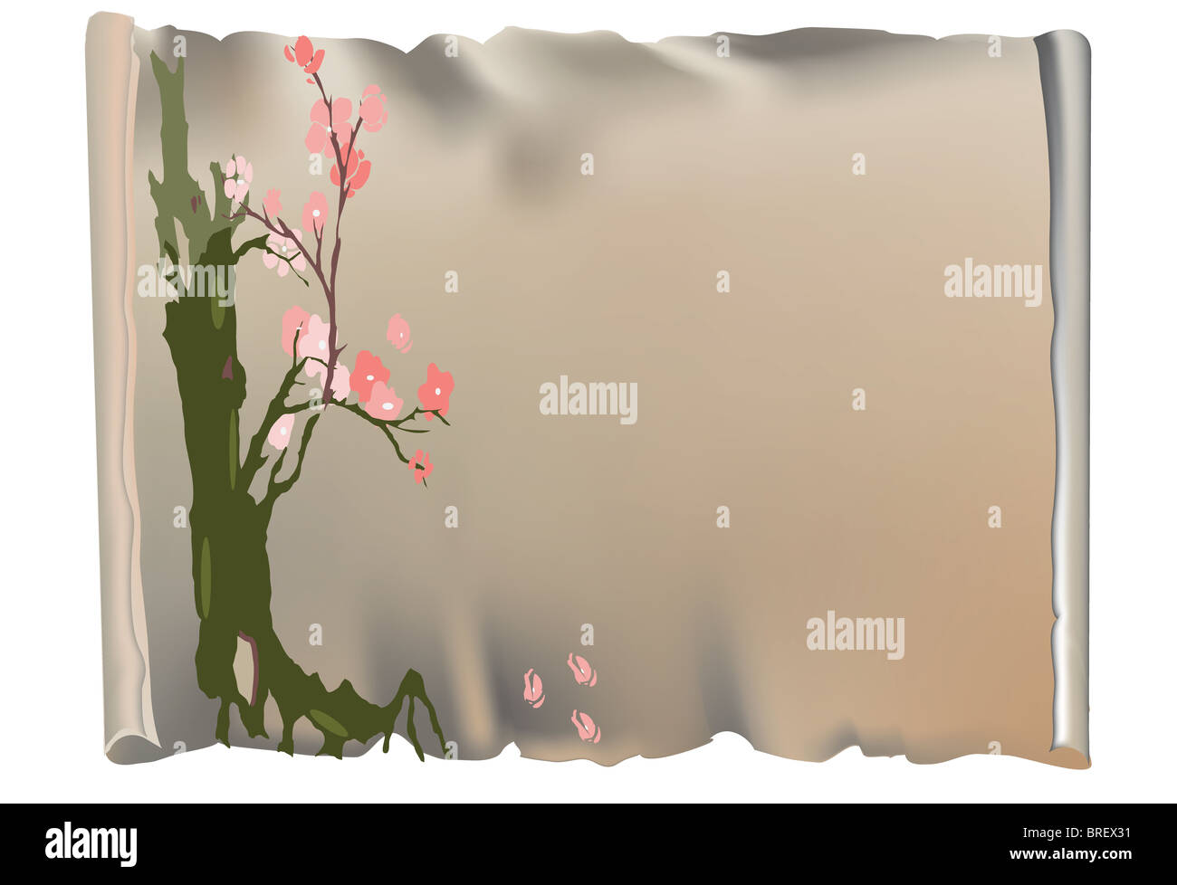 parchment and tree with pink flowers- illustration Stock Photo - Alamy