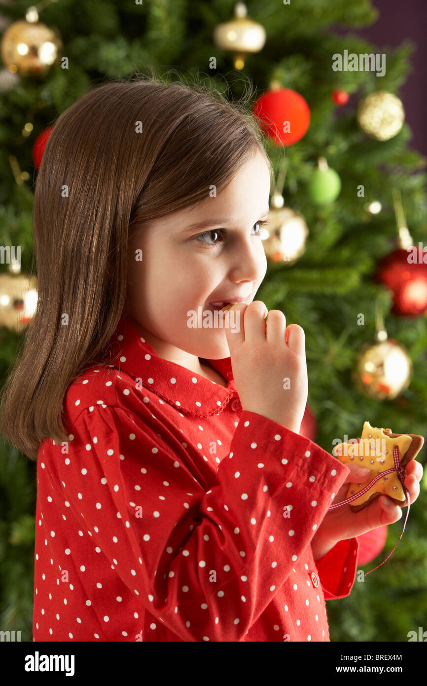 Star shaped tree hi-res stock photography and images - Alamy