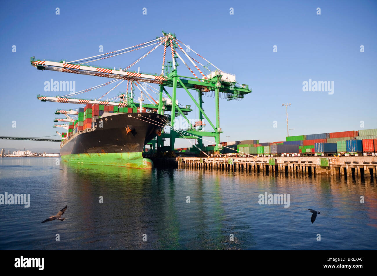 Containers, cranes and ships in warm late afternoon light Stock Photo ...