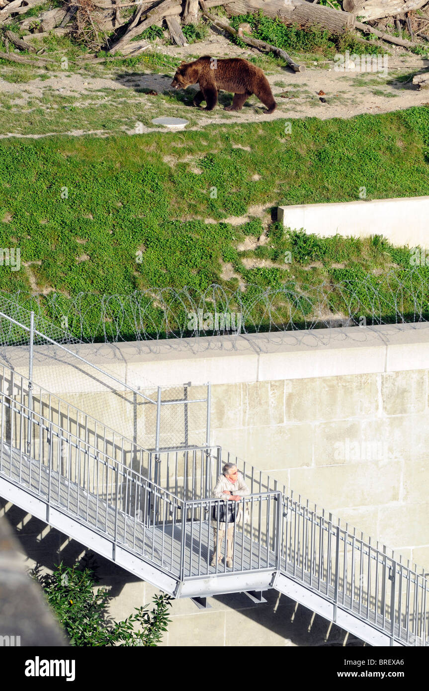 The new bears park ("baerebpark") on open ground replacing the old ...