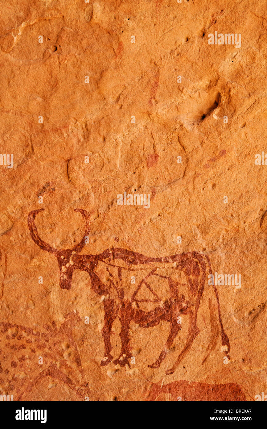 Painted domestic cows, rock art in the Akakus Mountains, Sahara Desert ...