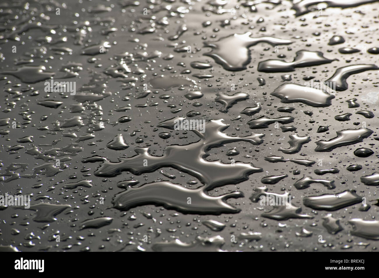 Raindrops on a black perspex surface Stock Photo - Alamy