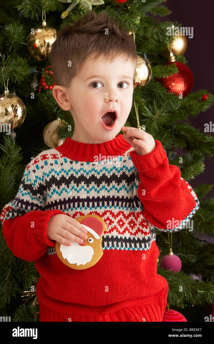 Young Boy Eating Cookie In Front Of Christmas Tree Stock Photo - Alamy