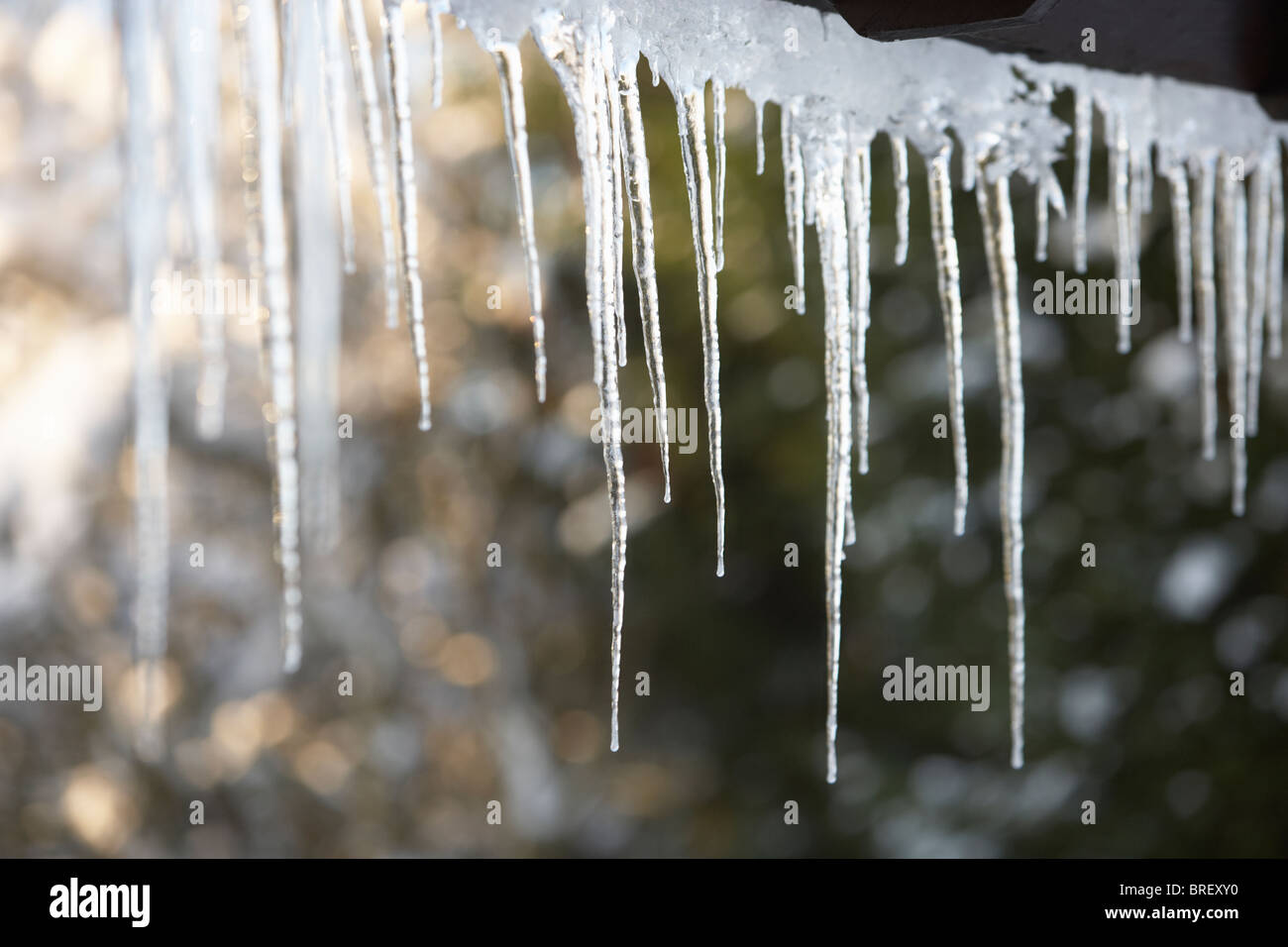 Icicle from roof hi-res stock photography and images - Alamy