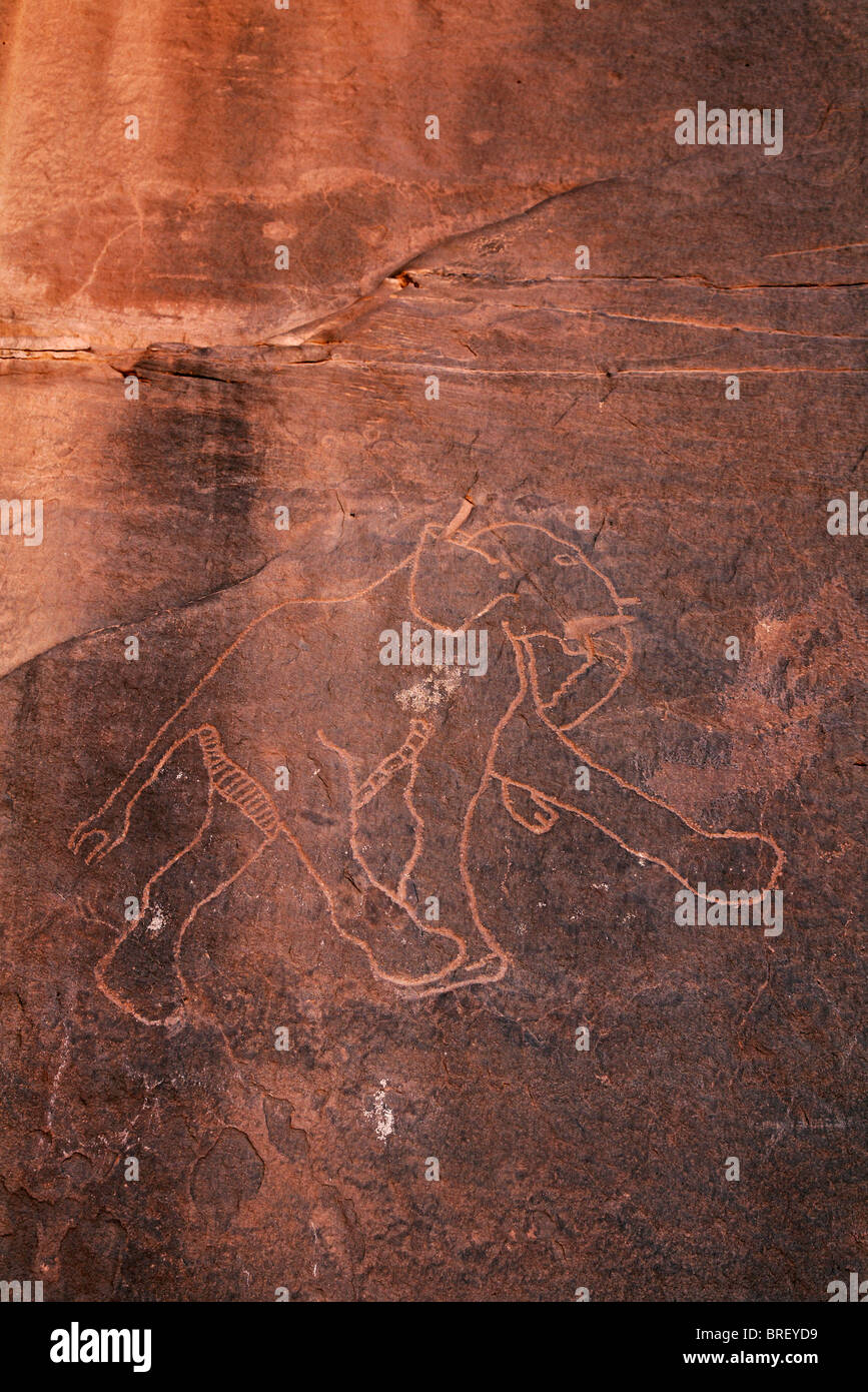 Elephant, engraved rock art in the Akakus Mountains, Sahara Desert ...