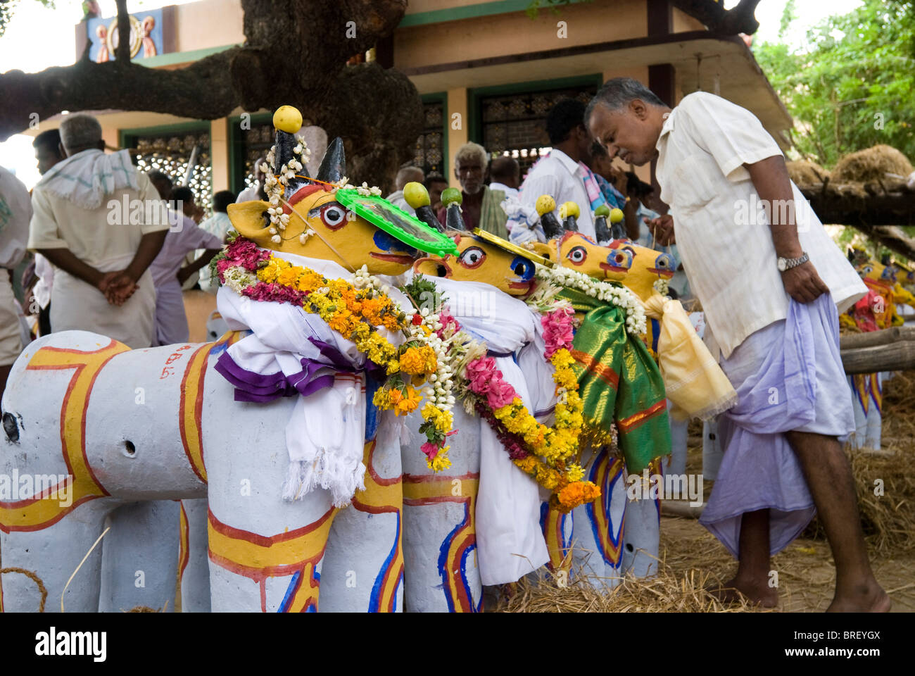 PURAVI EDUPPU FESTIVAL-BESEECHING THE RAIN GODS FOR THEIR MERCY, TAMIL ...