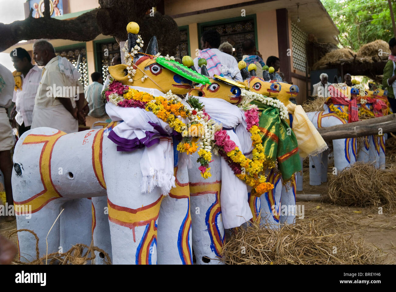 PURAVI EDUPPU FESTIVAL-BESEECHING THE RAIN GODS FOR THEIR MERCY, TAMIL ...