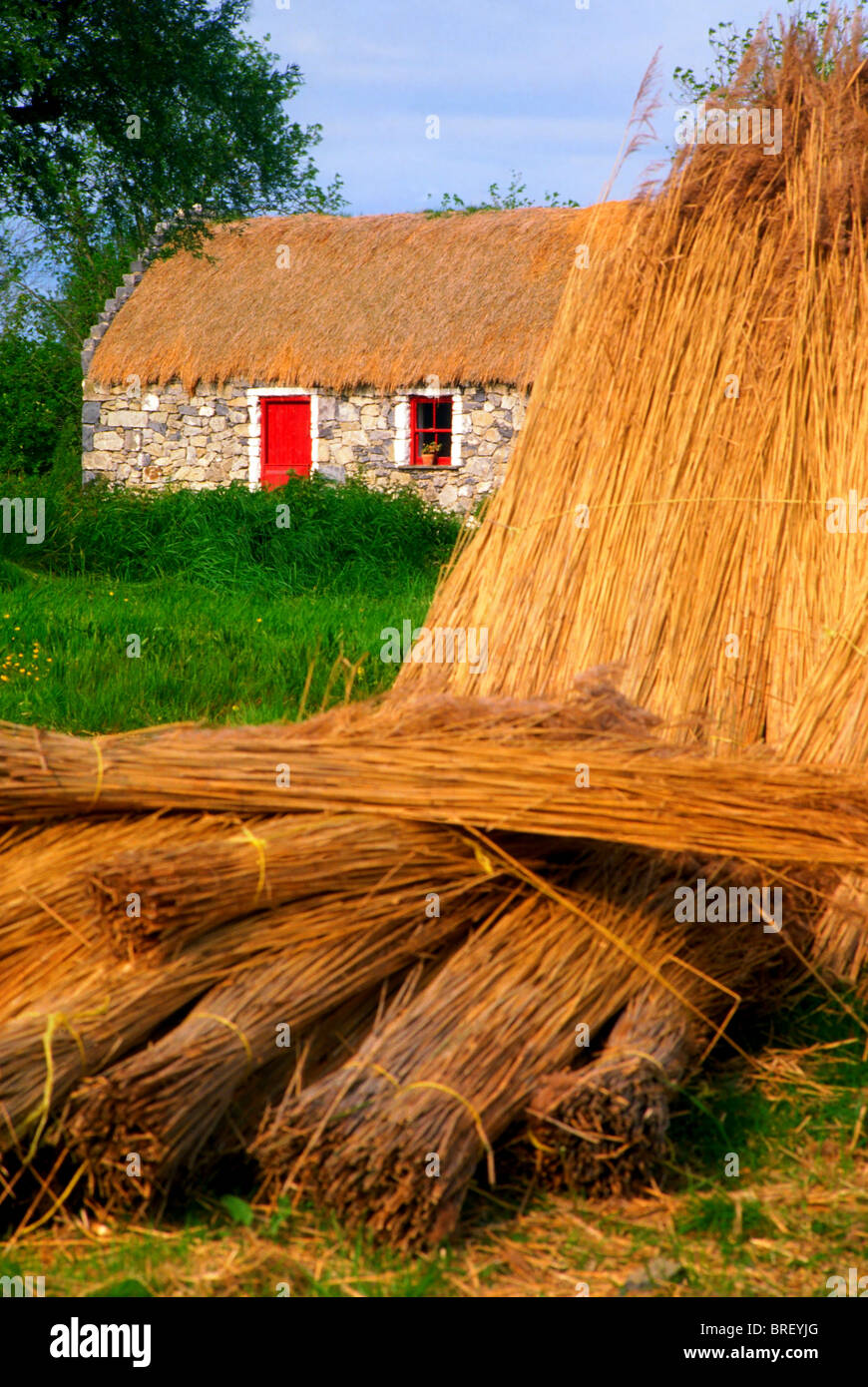 Traditional Thatching, Ireland Stock Photo - Alamy