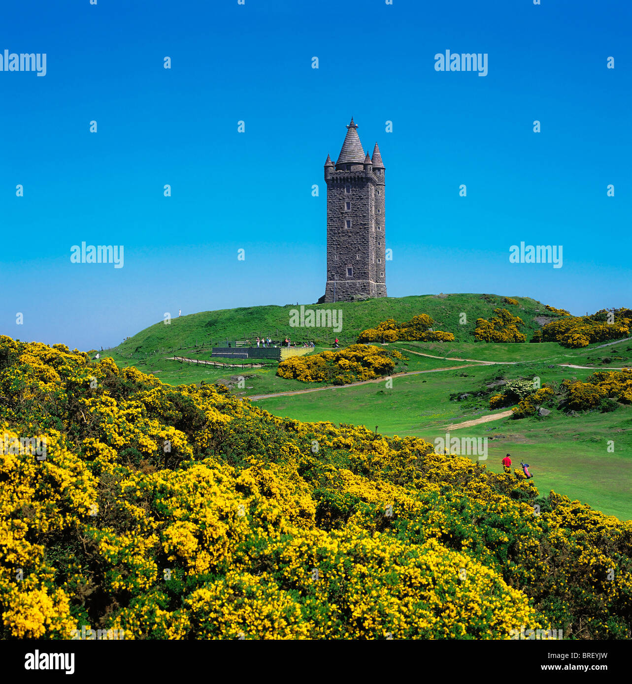 Scrabo Tower And Country Park, Newtownards, Co Down, Ireland Stock ...