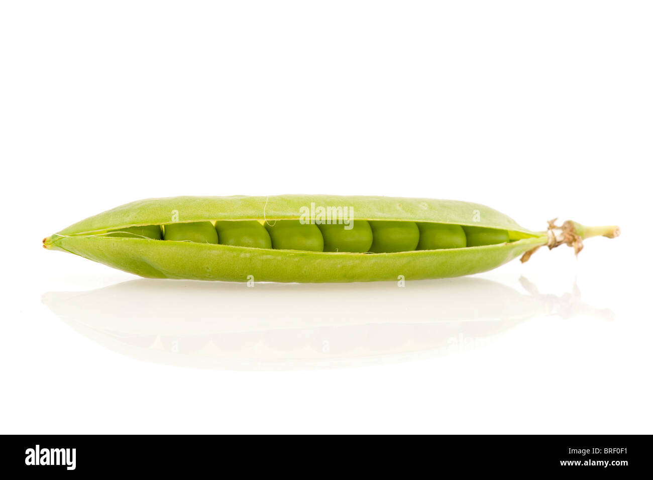 one single open broad bean isolated over white Stock Photo - Alamy