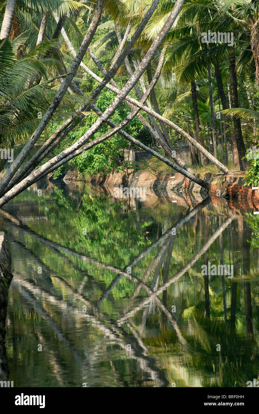 Kerala landscapes hi-res stock photography and images - Alamy