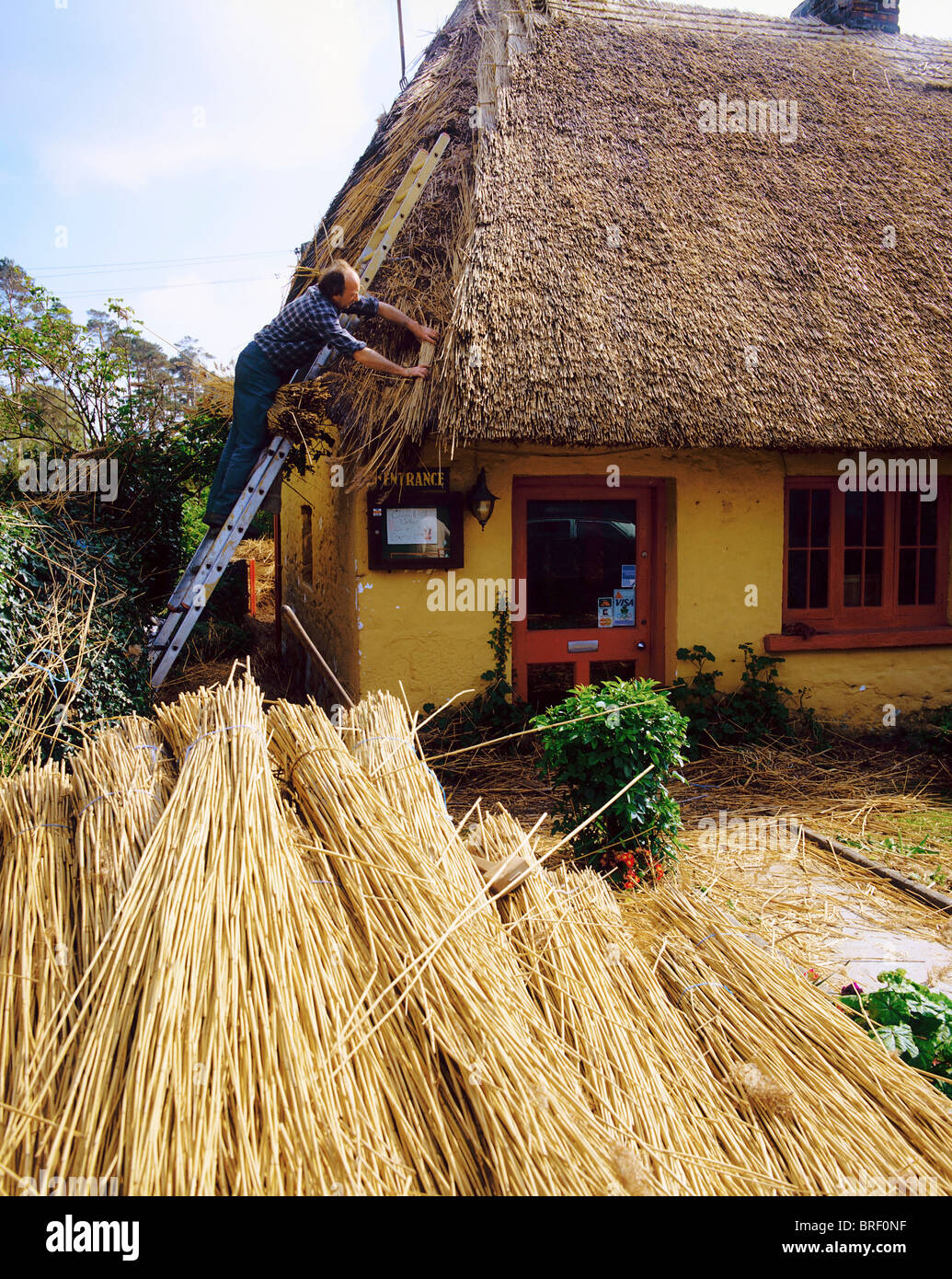 Adare, Co Limerick, Ireland; Man Thatching His Roof Stock Photo - Alamy