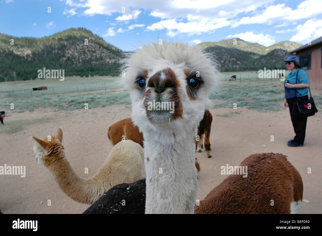 Mora ranch hi-res stock photography and images - Alamy