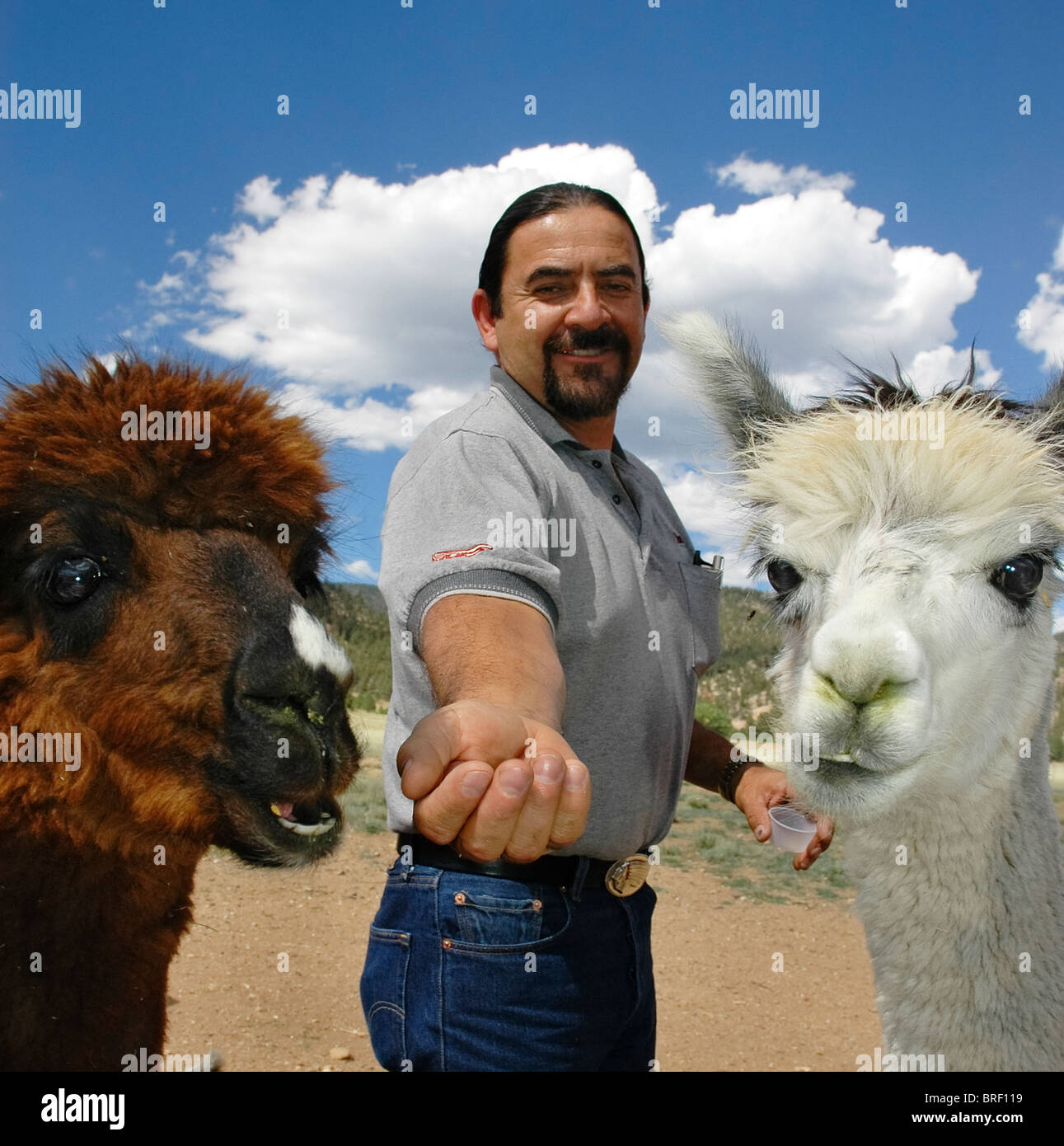 Mora ranch hi-res stock photography and images - Alamy