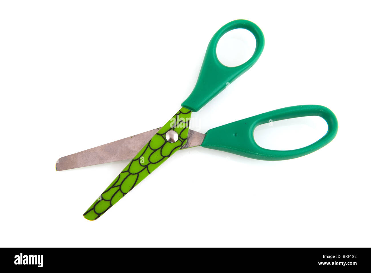 Crocodile Scissors at Kate Mackinlay blog