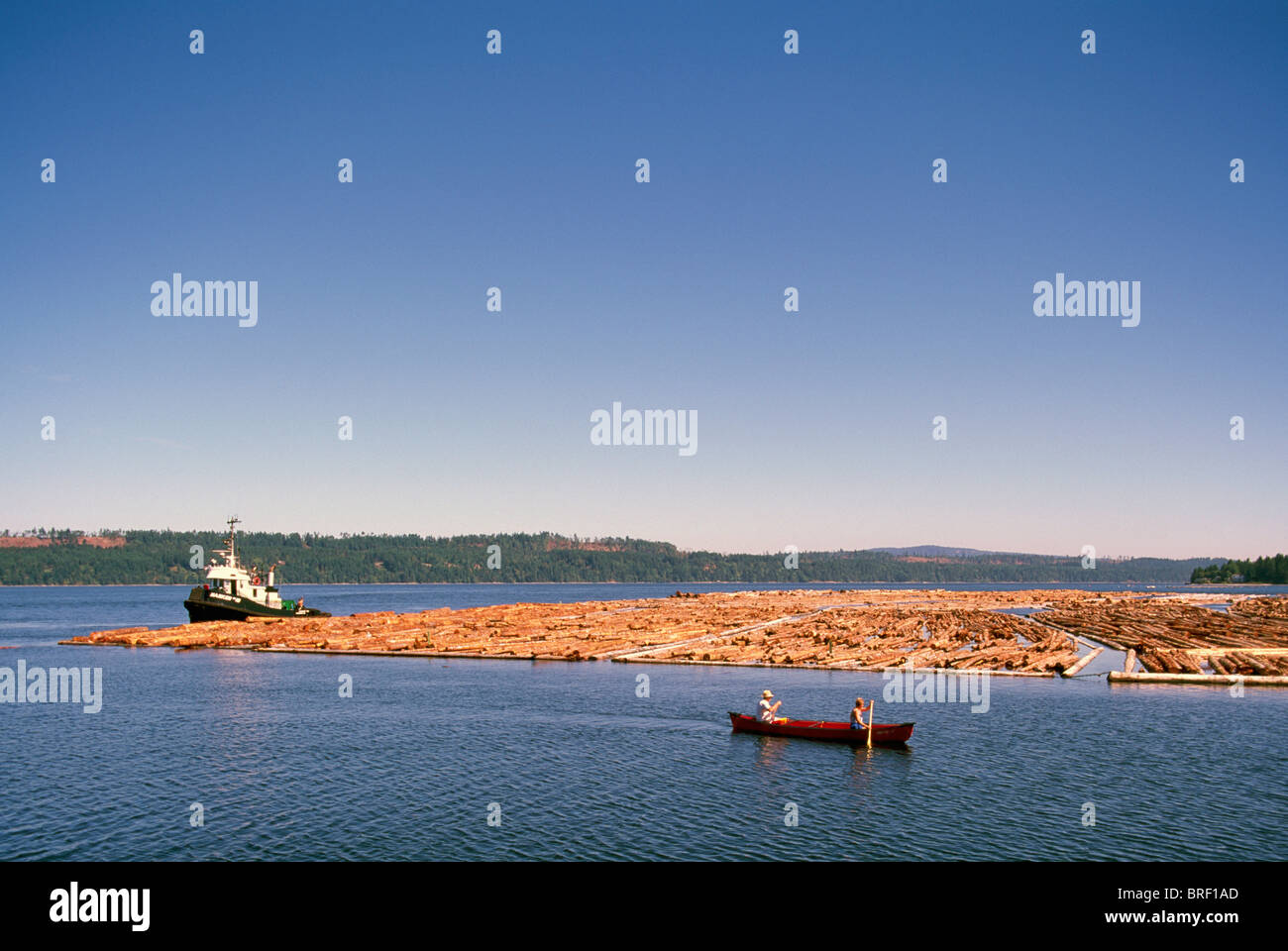 Tugboat guiding Log Boom, Georgia Strait, BC, British Columbia, Canada ...