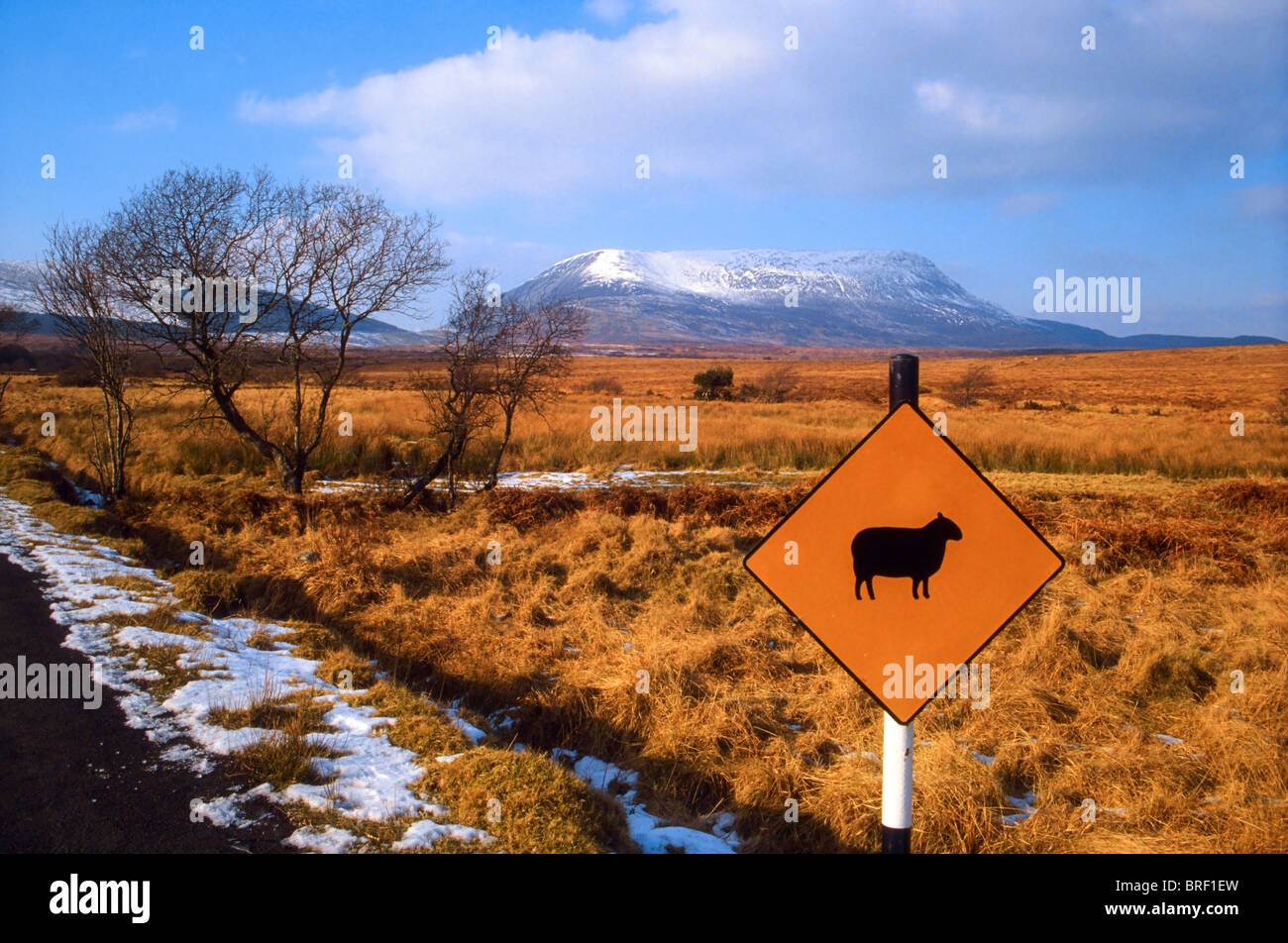 Rural Road Signs, Muckish Mountain, Derryveagh Mountains, Co Donegal ...