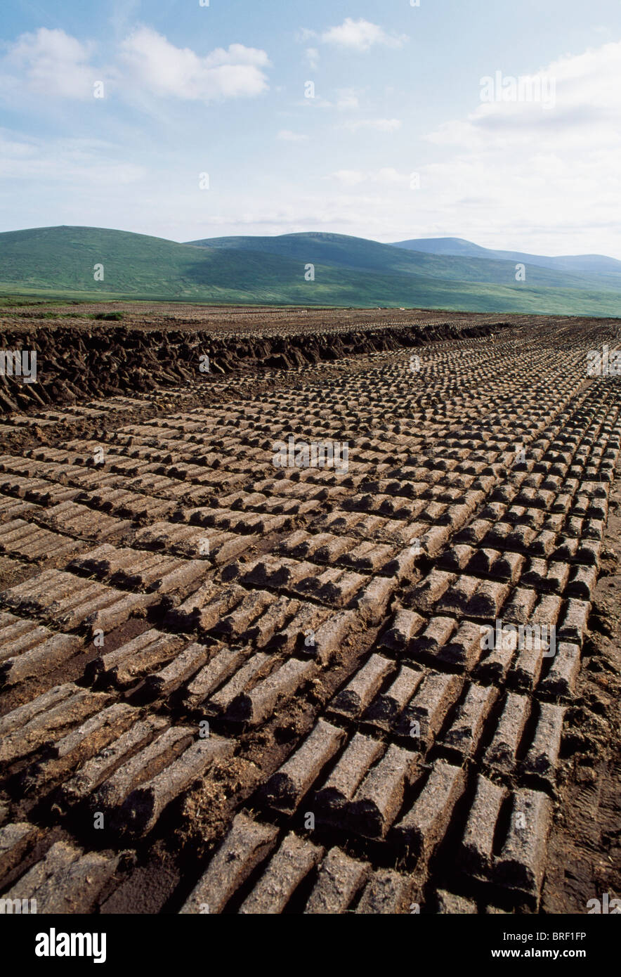 Co Wicklow, Ireland; Turf Cutting Near Sally Gap Stock Photo - Alamy
