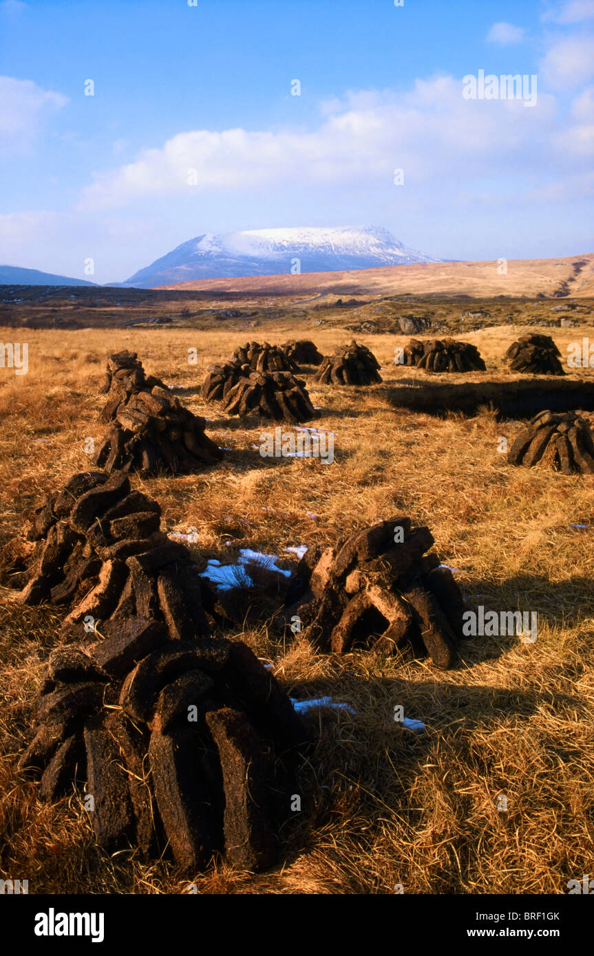 Co Donegal, Ireland; Turf Cutting Near Muckish Mountain Stock Photo - Alamy