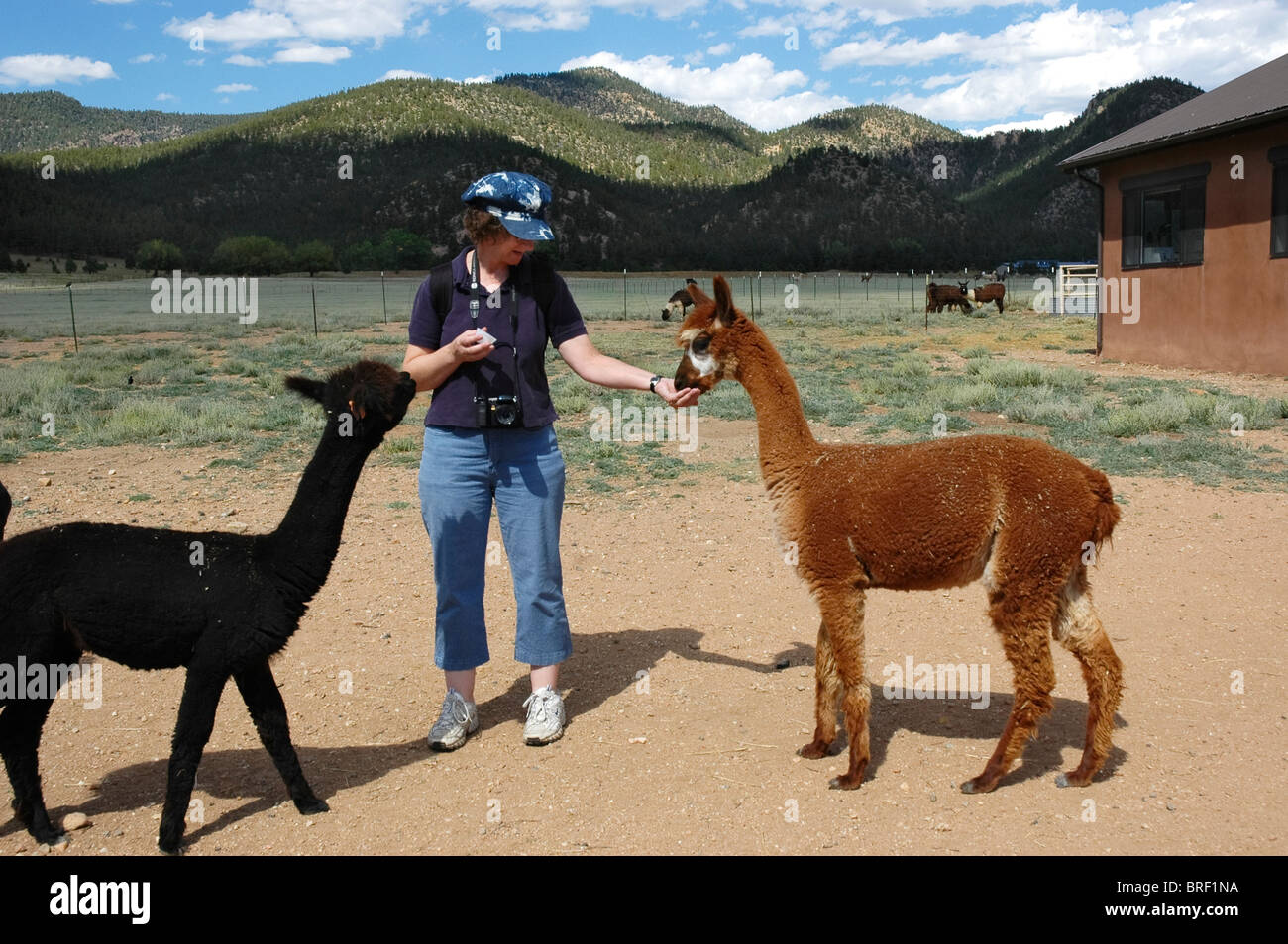 Mora ranch hi-res stock photography and images - Alamy