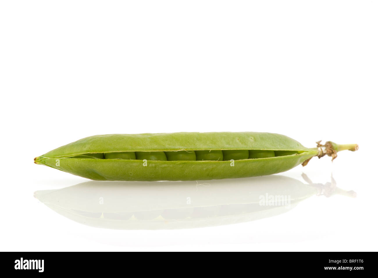 one single open broad bean isolated over white Stock Photo - Alamy