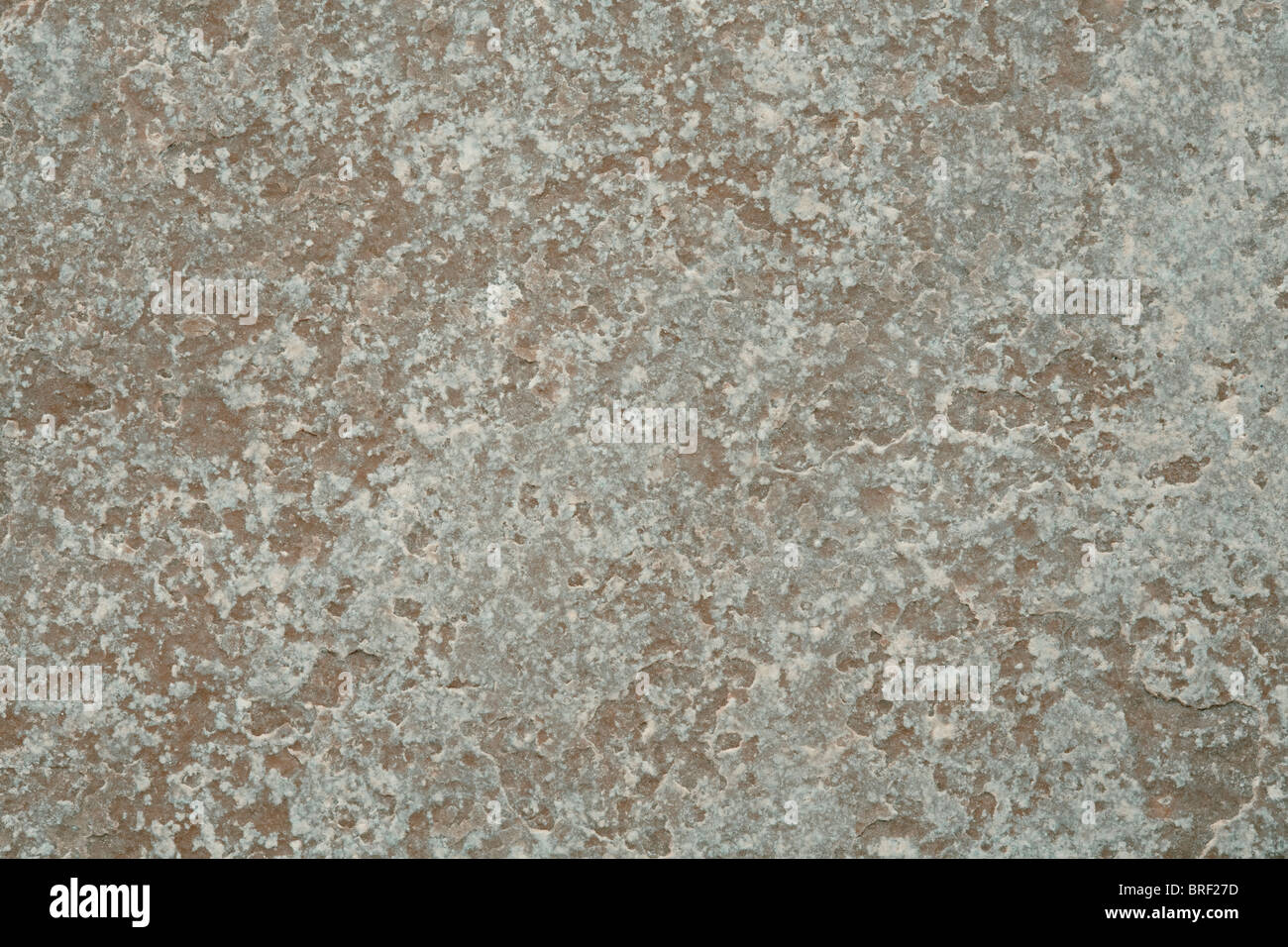 Closeup of limestone with a mottled pattern and rough texture Stock ...