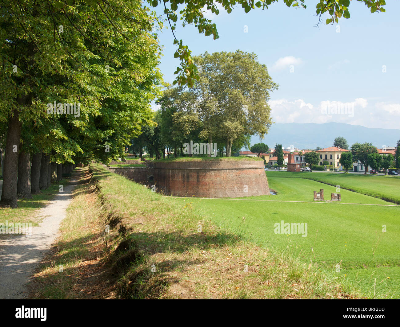 View on the historic city wall of Lucca, Tuscany, Italy Stock Photo - Alamy