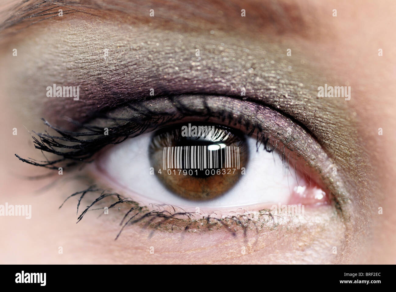 Woman's eye with a barcode, transparent person, population census Stock ...