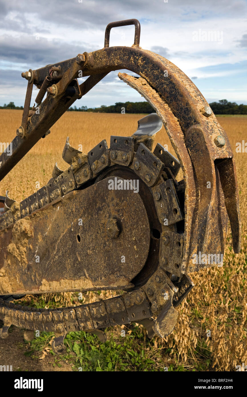 Trencher hi-res stock photography and images - Alamy