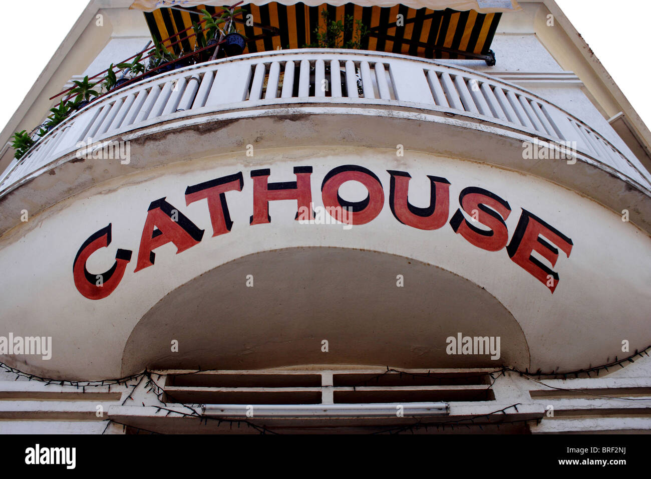 The Cathouse hostess bar and restaurant is part of the interesting ...