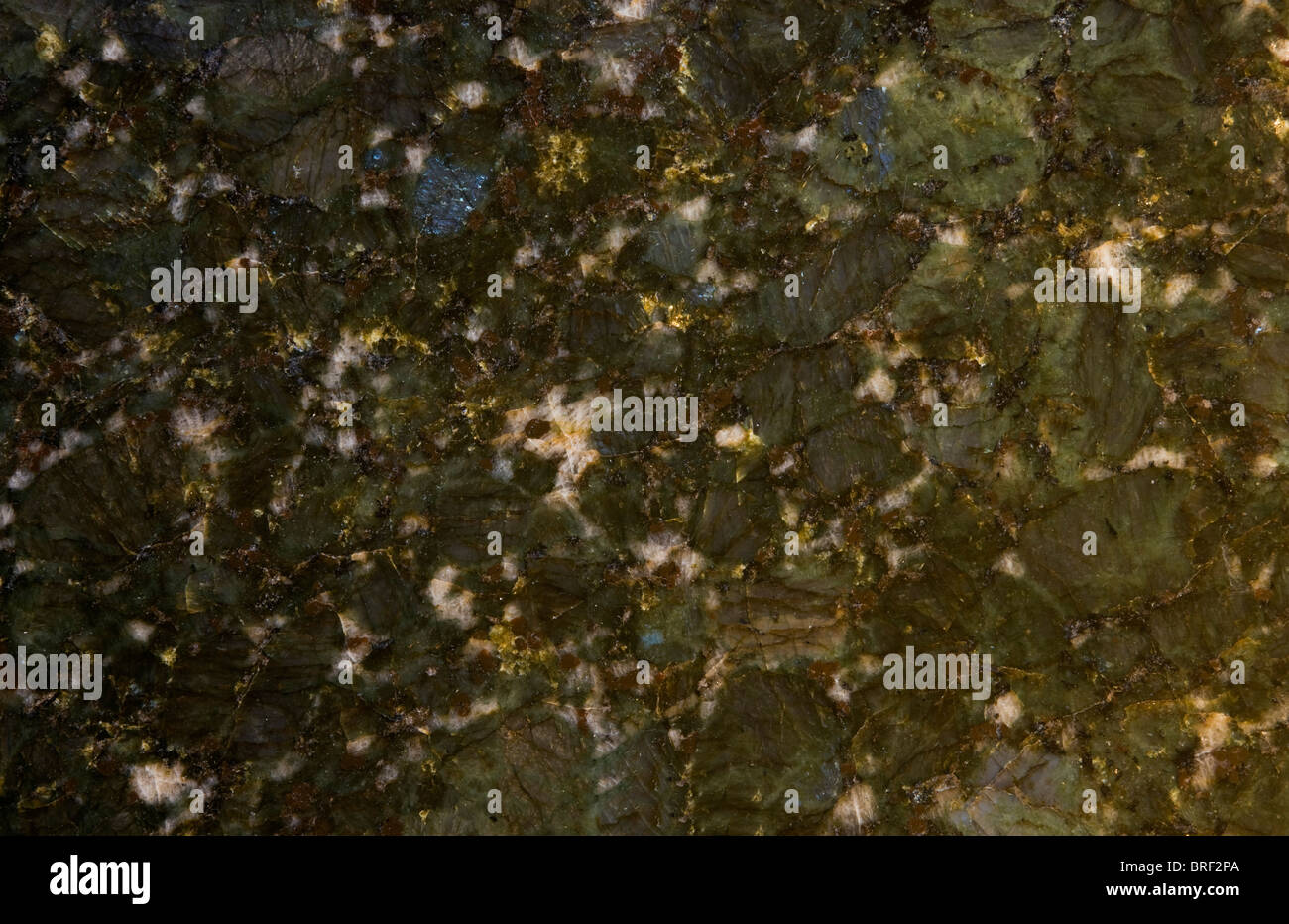 Green Butterfly granite Stock Photo - Alamy