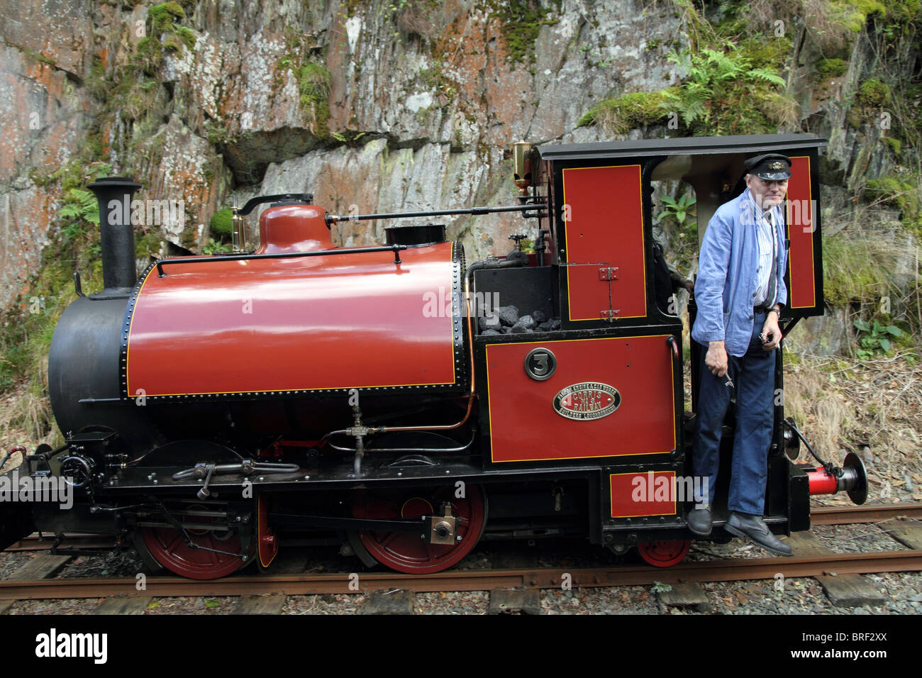 Welsh Narrow gauge railway at Abergynolwyn. The Talyllyn Railway - locomotive No. 3 shunting ...