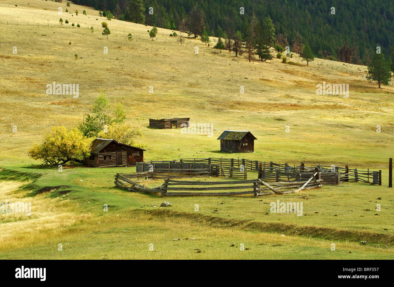 Old Homestead log cabin farm with outbuildings and corral on hillside ...